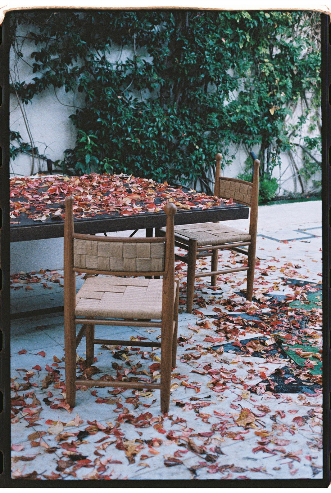 New In – Heaps & Woods